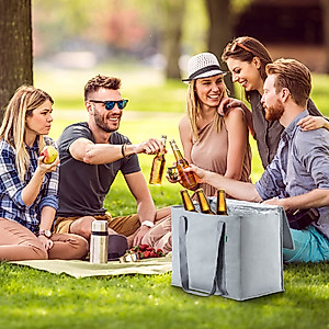 GOPORT 4pcs Insulated Reusable Grocery Shopping Bags, Heavy Duty Large Tote Bag Set with Extra Long Handles Thermal Lining Grocery Bags