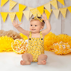 Eunikroko Honey Bee Romper with Headband for Baby Girls First Birthday Yellow Bumble Bee Outfit for First Bee-Day Cake Smash Photoshoots Supplies