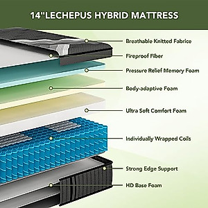 Lechepus Queen Mattresses 14 Inch Supportive Hybrid Mattress for Back Pain, Plush Bed in a Box, Memory Foam with Individual Pocket Springs, CertiPUR-US Certified, Queen Size Mattress, 60”x80”x14”