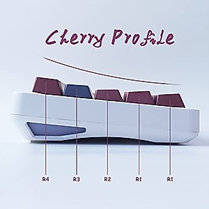 Tsungup PBT Keycaps, 145 Keys Cherry Profile Classic Game Console Keycaps Dye Sublimation with Japanese Keycaps 6.25U 7U Spacebar for Cherry MX Switches Mechanical Keyboards