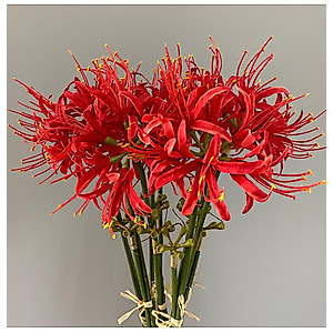 Qingriver 4 Stems 26.38'' Artificial Spider Lily Flowers Lycoris Radiata for Home Garden Decoration Red