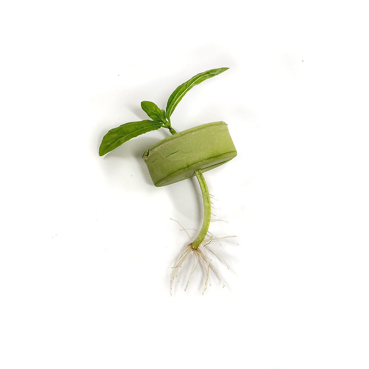 TurboKlone T48 Aeroponic 48 Site Cloner & Klone Collars