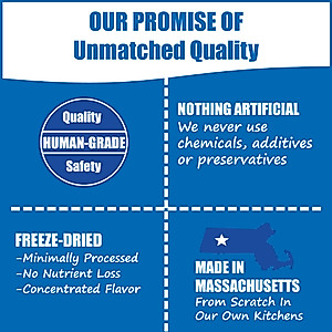 Whole Life Pet Recover. Bland Diet for Dogs - Vomiting, Stomach Distress or Diarrhea Relief. Ready in Minutes - Just Add Water