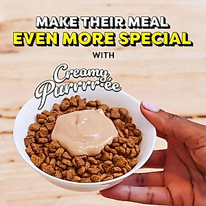 Temptations Creamy Puree with Salmon Lickable, Squeezable Cat Treats, 0.42oz Pouches, 4 Count (Pack of 11)