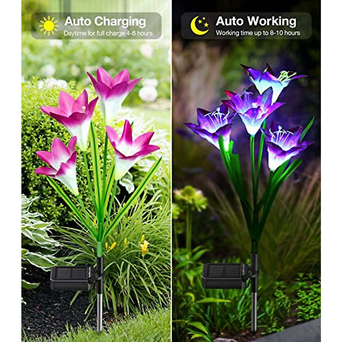 NEEMO Solar Outdoor Lights 4 Pack, Solar Garden Lights with Large Lily Flowers, 7-Color Changing Solar Pathway Lights, Solar Powered Landscape Lights for Garden Patio Yard (Bigger Solar Panel)