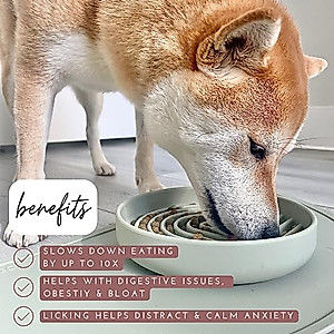 Slow Feeder Dog Bowl: The Slowdown Bowl is A Modern, Silicone Puzzle Bowl & Lick Mat. Slow Eating, Stop Gulping, Take It Easy. Dishwasher Safe. (Honey)