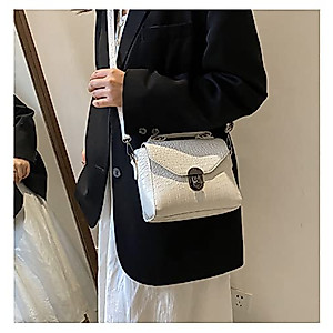 Purses and Handbags for Women Hobo Bags Women Tote Bags Leather Crossbody Shoulder Bags (White)