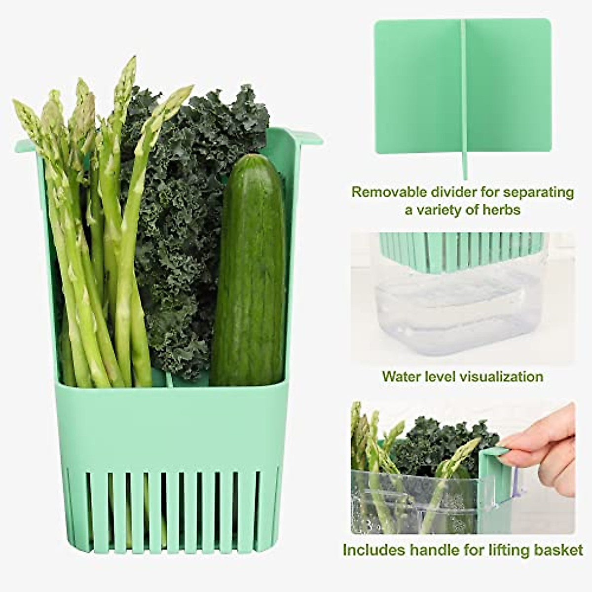 LUVCOSY 2 Packs Fresh Herb Keeper for Refrigerator, Clear BPA-Free Herb Saver, Storage Container for Cilantro, Parsley, Thyme, Mint & Asparagus, Preserver Keeps Fresh Herbs Cyan