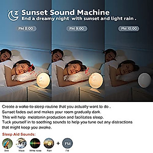 Sunrise Alarm Clock for Heavy Sleepers, Wake Up Light with Sunrise/Sunset Simulation, Dual Alarms & Natural Sounds, Snooze & Sleep Aid, FM Radio, 7 Colors Night Light for Bedroom, Ideal for Gift
