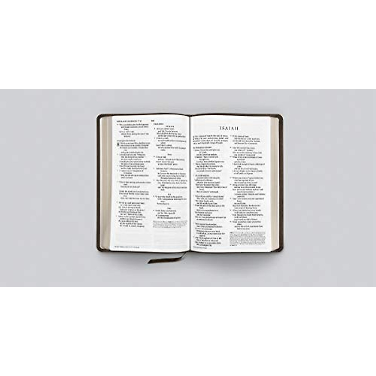 ESV Large Print Thinline Reference Bible (Brown)