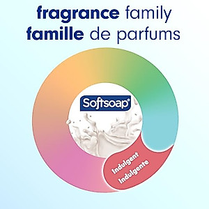 Softsoap Warm Vanilla & Coconut Milk Scent Liquid Hand Soap, Moisturizing Liquid Hand Soap, 11.25 Ounce, 6 Pack