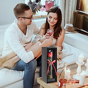 Mothers Day Rose Flower Gifts for Mom from Daughter and Son, Mom Gifts for Grandma, Unique Birthday Gifts for Women, Rose in Glass Dome, Beauty and The Beast Preserved Flowers Last Years- Red