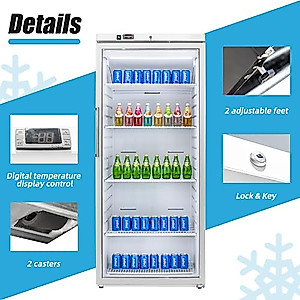 BLUELINETECH Display Refrigerator 18.6Cu.ft, 33-45℉, White, for Food and Beverage Refrigeration, for Commercial Kitchen, Home, Canteen, Restaurant