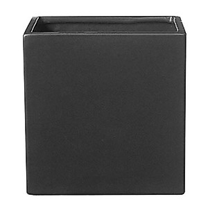 Athena's Garden Modern Black Pot with Polished River Rocks and Lichen. Live Heart-Shaped Hoya Plants Square, Green