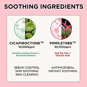 It'S SKIN Tiger Cica Red Growl Sleeping Spot Treatment – Dries Out Acne, Pimples, Blemishes, Zits and Clogged Pores – Overnight Trouble Solution for Inflamed Skin – Calamine, Tea Tree and Tea Tree, 0.5 fl.oz.