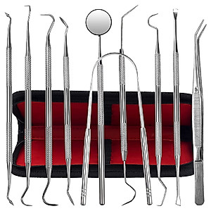 Dental Kit Tools, 10 Pack Stainless Steel Plaque Remover, Dental Tools to Remove Plaque and Tartar, Oral Care Kit with Plaque Cleaner, Tartar Pick, Tooth & Tongue Scraper for Dentist, Personal, Family