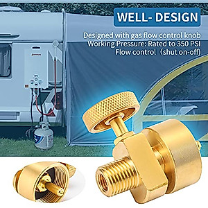 1LB Brass Propane Needle Control Valve, Disposable Adjustable Pressure Propane Gas Regulator Valve with 1/4’’ NPT Male Thread (Tapped M8 Female), Propane 1LB Tank Disposal Cylinder Bottle Adapter