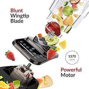 Blendtec Original Designer Series Blender and 90 Oz WildSide+ Jar - Kitchen Blender Bundle - Black