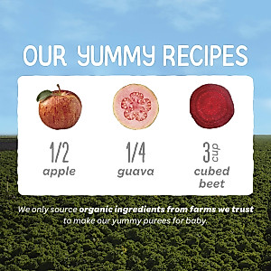 Happy Baby Organics Stage 2 Baby Food Pouches, Gluten Free, Vegan & Healthy Snack, Clearly Crafted Fruit & Veggie Puree, Apples, Guavas & Beets, 4 Ounces (Pack of 16)