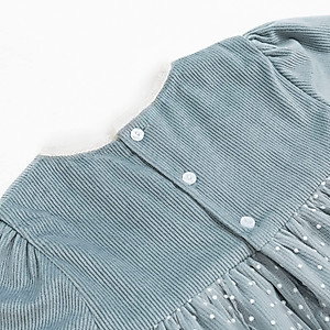 Curipeer Baby Girls Long Sleeve Lace Dress Smock Toddler Velvet Tulle Dress for Autumn and Spring Blue 12 Months