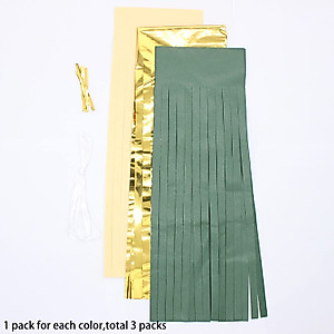 15 Pc DIY Sage Green Blush Nude Gold Tissue Paper Tassel Garland Party Banner for Neutral Baby Baptism Eucalyptus Greenery Woodland Baby Shower Rustic Wedding Party Decoration