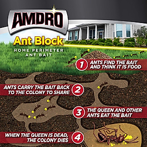 Amdro Ant Block Home Perimeter Ant Bait Granules 24 Ounces