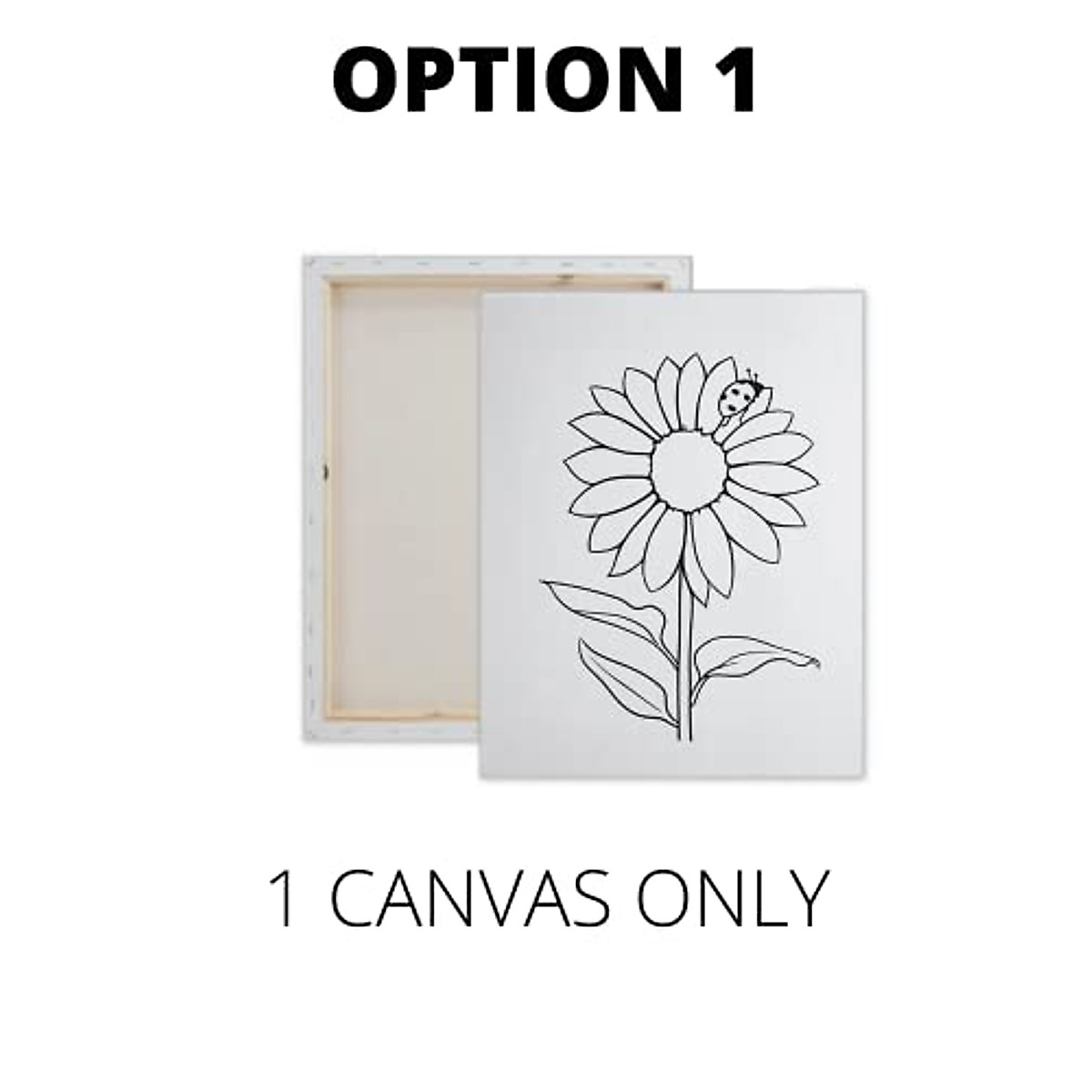 Essenburg Pre Drawn Canvas Paint Kit | Teen, Kids and Adult Sip and Paint Party | DIY Date Night Couple Activity| Canvas Boards for painting| Birthday Party Beach Lady ((S 8x10 CANVAS ONLY))