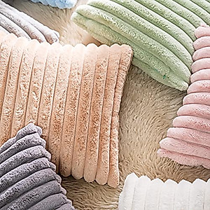 DEELAND Pack of 2,Double-Sided Faux Fur Plush Decorative Throw Pillow Covers Fuzzy Striped Soft Pillowcase Cushion Covers for Sofa Couch Bedroom