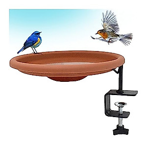 Bird Bath Bowl 12 Inches - Deck Mounted Bird Water Feeder, Large Bird Bath, Bowl Bird Baths, Hanging Bird Baths, Heavy Duty Sturdy Rust Resistant Steel Clamp, Detachable, Great Gift for Bird Lovers