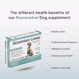 RESVANTAGE Overall Canine Health