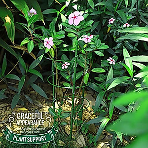 LEOBRO 2 Pack Plant Support Tomato Cage, Rust Resistant Tomato Cages for Garden, Small Cucumber Trellis Plant Support Plant Cages Plant Stake for Tomato, Climbing Plant, Flower, Seedlings, 17.7" H