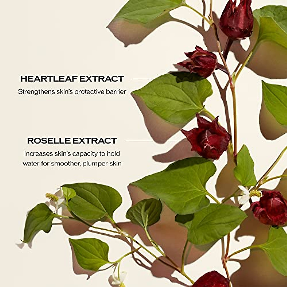 Shiseido Ultimune Power Infusing Concentrate - 50 mL - Antioxidant Anti-Aging Face Serum - Boosts Radiance, Increases Hydration & Improves Visible Signs of Aging