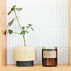 P.F. Candle Co. Teakwood & Tobacco Classic Standard Scented Soy Wax Candle (7.2 oz) 40-50 Hour Burn Time, Cotton Wick, Amber Glass Jar