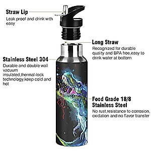Dinosaur Water Bottle with Straw Lid Thermos Kids Insulated Stainless Steel Water Flask 20 Oz Dinosaur with Sparkling