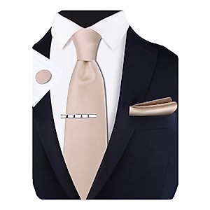 GUSLESON Men's Solid Silk Tie Champagne Ties for Men Necktie Clip Pocket Square Cufflinks Sets (6101-10)