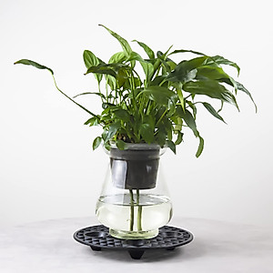 KVMORZE 8 PCS Plant Level Pot Elevator, Heavy Duty Plant Stands, Plant Saucer Riser for Indoor Plant Flower Pot Grow Drainage, Plant Pot Saucer for Prevent Rot and Damage on Patio & Deck (8inch)