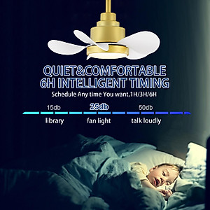 Ceiling Fan With Lights and Remote,Large Airflow 22inch Quiet Reversible Noiseless DC Motor 5 Blades Ceiling Fans for Indoor Bedroom Living Room Room Patio(White Gold)