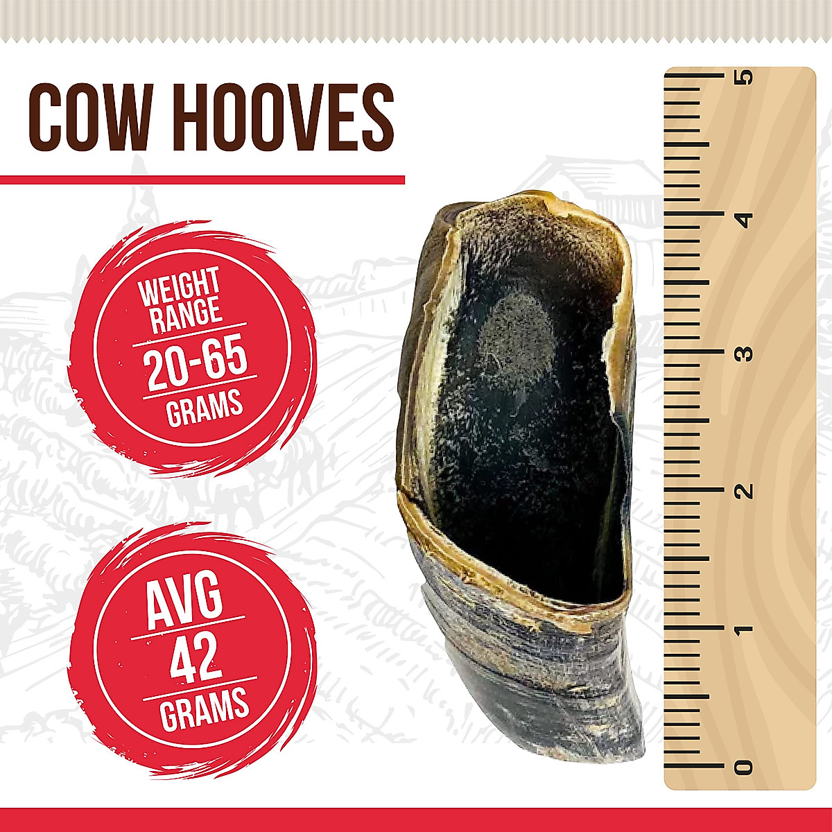 Best Dog Chews Cow Hooves - 100% Natural Delicious Protein Long Lasting Dog Treats Great Alternative to Bully Sticks or Rawhide, Dental Chew for Small, Medium, Large Breeds and Puppies (6 Count)