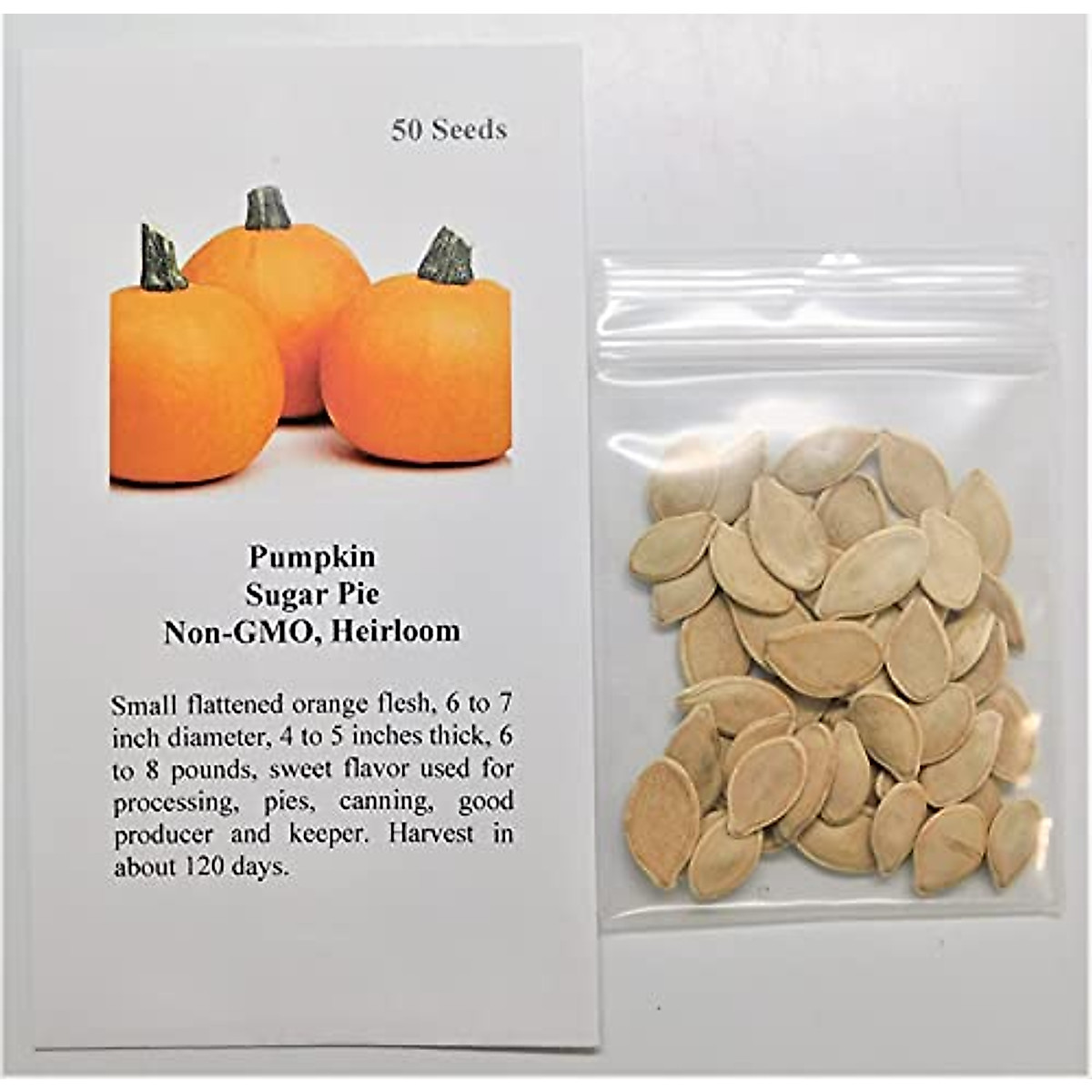 David's Garden Seeds Pumpkin Sugar Pie FBA-5544 (Orange) 50 Non-GMO, Heirloom Seeds