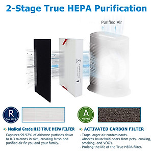 Flintar HPA100 H13 True HEPA Replacement Filter A/R Combo Pack, Compatible with Honeywell Air Purifier HPA100, HPA094, HPA3100, HPA5100 Series, True HEPA Filter R + 4 Pre-Cut Carbon Pre-Filter A