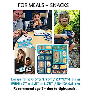 Bento Lunch Box and Snack Container Value Set| Meal Planning Portion Containers For Kids or Adults, School or Work | BPA Free | Microwave Safe | Utensils | 4 pack, Large and Mini, Blue + Navy