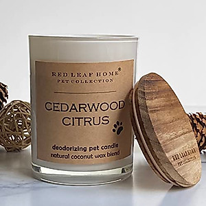 Red Leaf Home | Cedarwood Citrus Pet Deodorizing Jar Candle | Large | Gift, Perfect for Dog & Cat Owners | Contains DeoBoost | 15.5oz