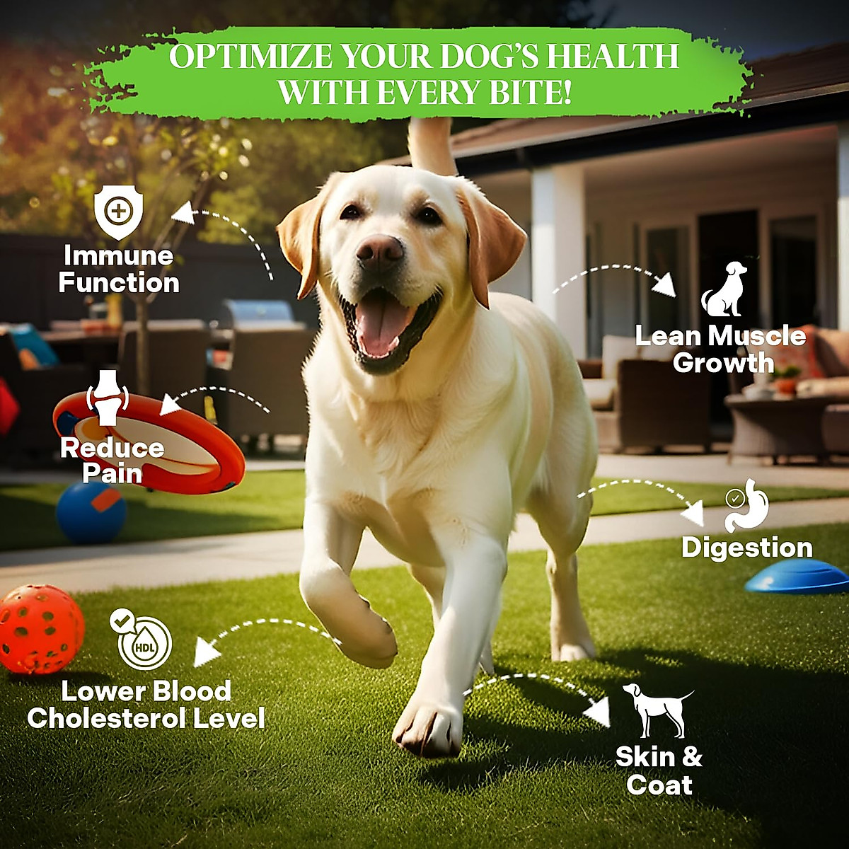 Healthy Dogma - PetMix Dehydrated Dog Food - Lamb Dog Food - Raw Dog Food - Grain Free, Clean Ingredient Dog Food - No Preservatives, Homemade Dog Food Lamb Dinner (10 lbs)