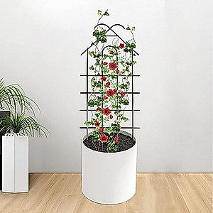 GANAZONO 2pcs Bracket Outdoor Lattice Trellis trellises for Climbing Plants Climbing Frame Vine Trellis Outdoor Accessories Raspberry Trellis Flower Stand Scaffolding Pergola