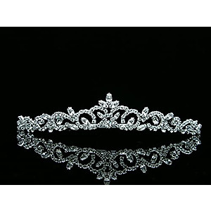 Bridal Princess Rhinestones Crystal Flower Wedding Tiara Crown - Silver Plating T463