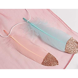 Hapy Shop Feather Garland Pale Pink and Blue Feather Banner,Gold Glitter for Party Decorations,Wedding,Boho Chic,10 feet