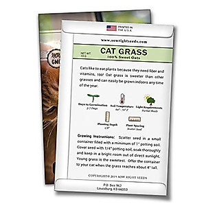 Sow Right Seeds - Catnip and Cat Grass Seed Collection for Planting Indoors or Outdoors, Includes The Popular herb Seed Catnip and Cat Grass (100% Sweet Oat Grass), Non-GMO Heirloom Seed
