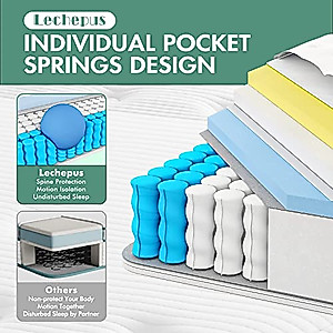 14 Inch Queen Mattress in a Box, Lechepus Plush Memory Foam Hybrid Mattress with Pocket Innerspring, Soft But Supportive Mattress for Pressure Relief, Queen Size 60"*80"
