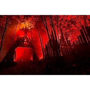 Froggy's Fog Halloween and Party Fog Fluid, High Output Long-Lasting Fog Juice for 400-1500 Watt Water-Based Fog Machines, Great for Pro & Home Haunters, Theatrical Effects, DJs, & More, Half Gallon