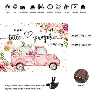 Lofaris Little Pumpkin Girl Baby Shower Photography Backdrops Props Fall Autumn Pink Floral Princess Baby Shower Party Decoration Car Gold Balloon Flowers Photo Studio Booth Background Banner 7x5ft